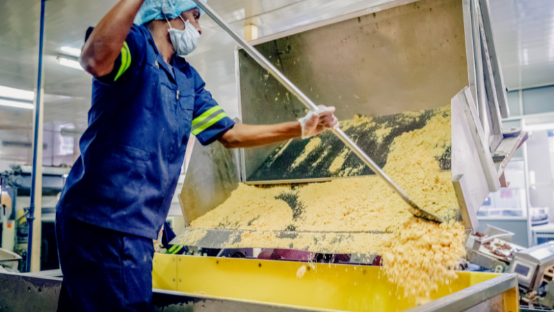 AI Processing Archives | BHARAT Plus AI